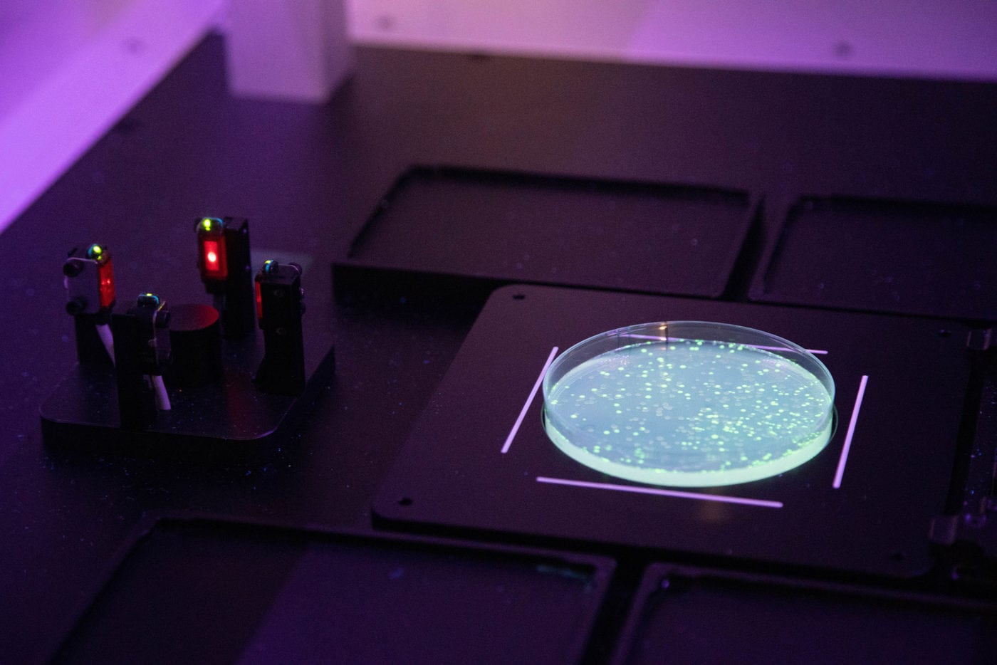 Recombia - Microbe inspired solutions