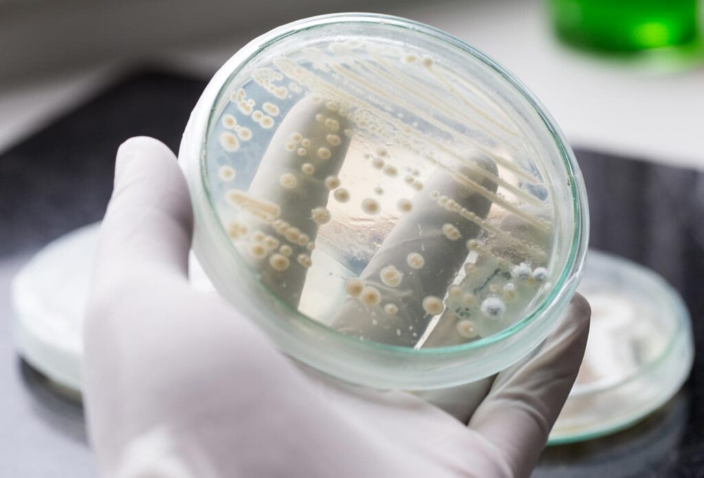 Our Platform - Recombia Biosciences